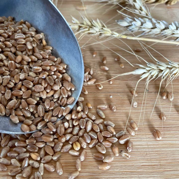 Wheat Berries – West Country Mills
