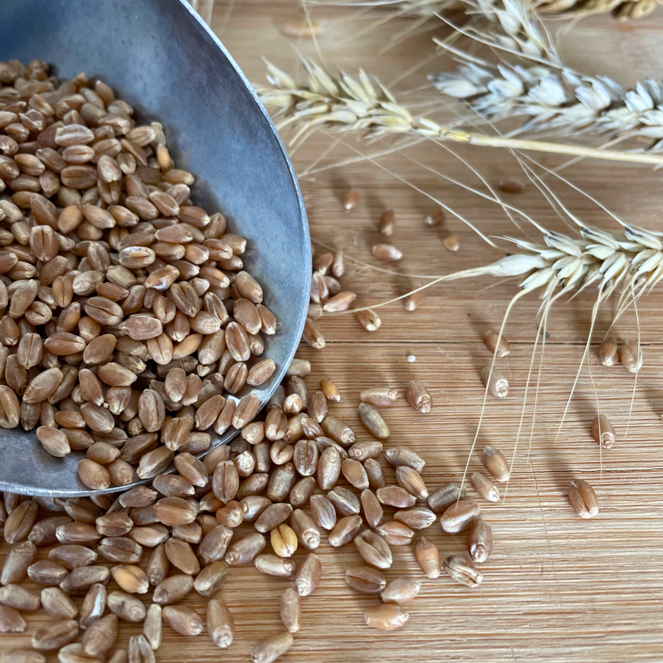 Wheat Berries – West Country Mills