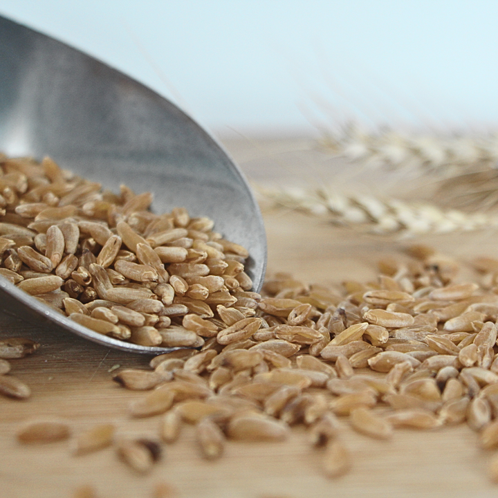 Wheat Berries – West Country Mills